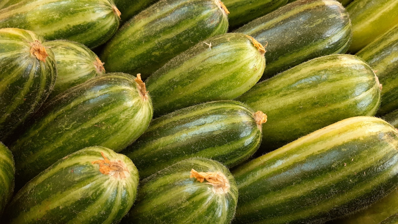 Home - Fratelli Mistretta Frutta e Verdura